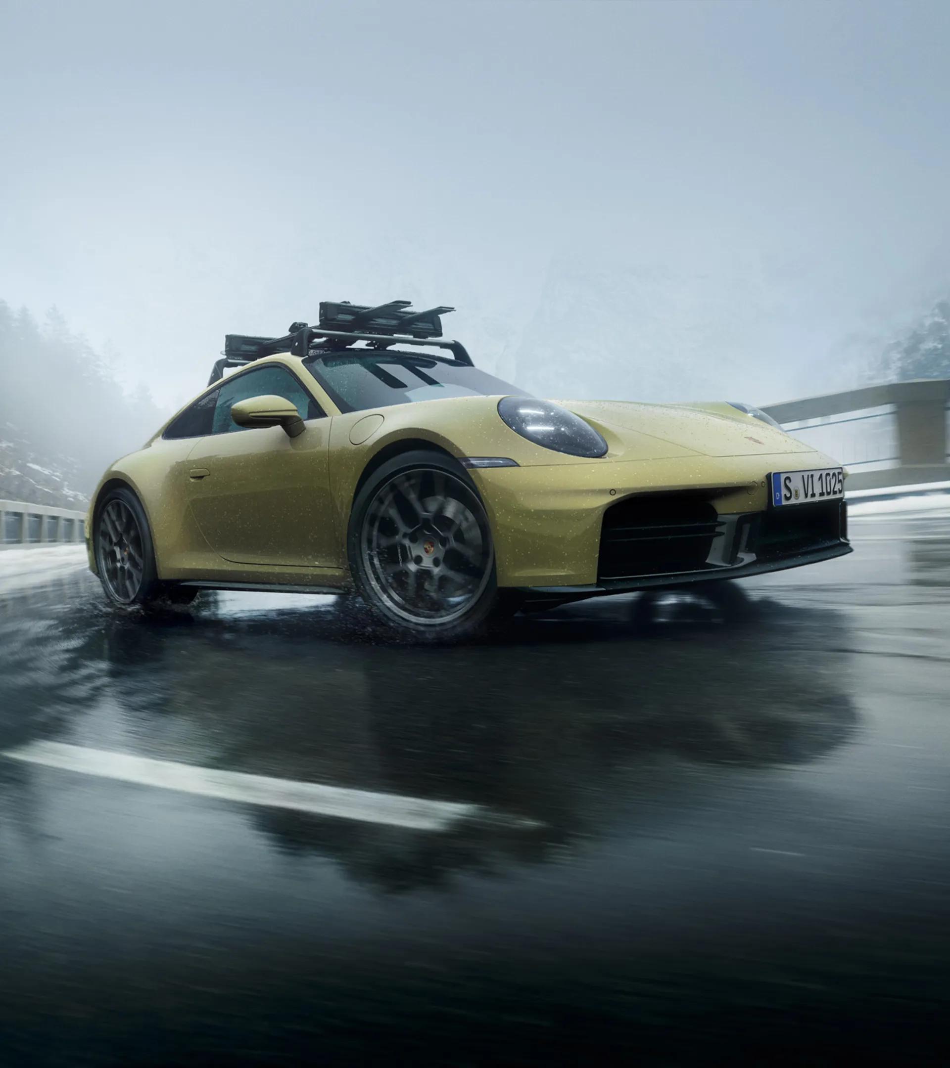 Porsche Ski and Snowboard Holder | PORSCHE SHOP